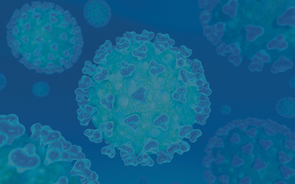 HAP Empowered Medicaid | Michigan Health Insurance | HAP