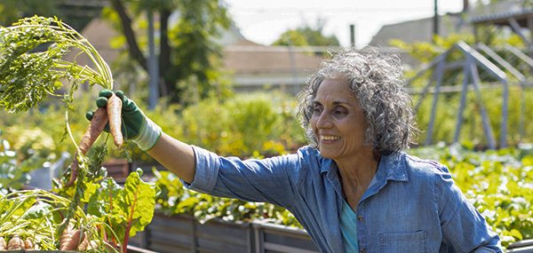 HAP Medicare | Michigan Health Insurance | HAP