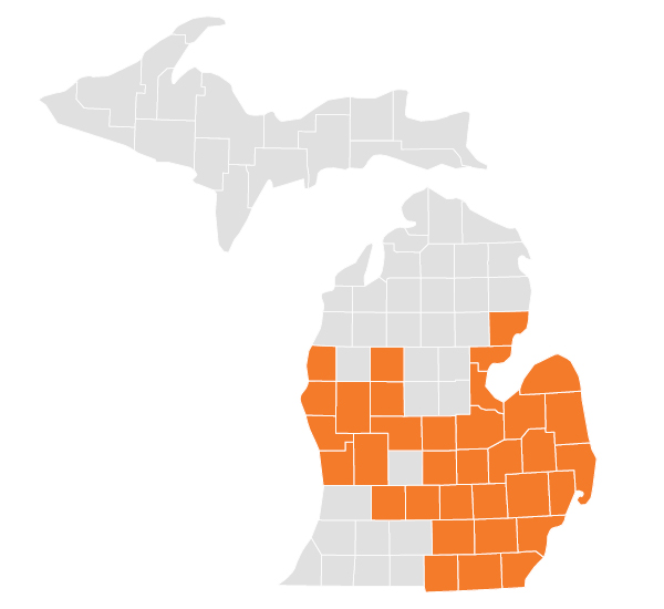 Large group plans and networks | Michigan Health Insurance | HAP